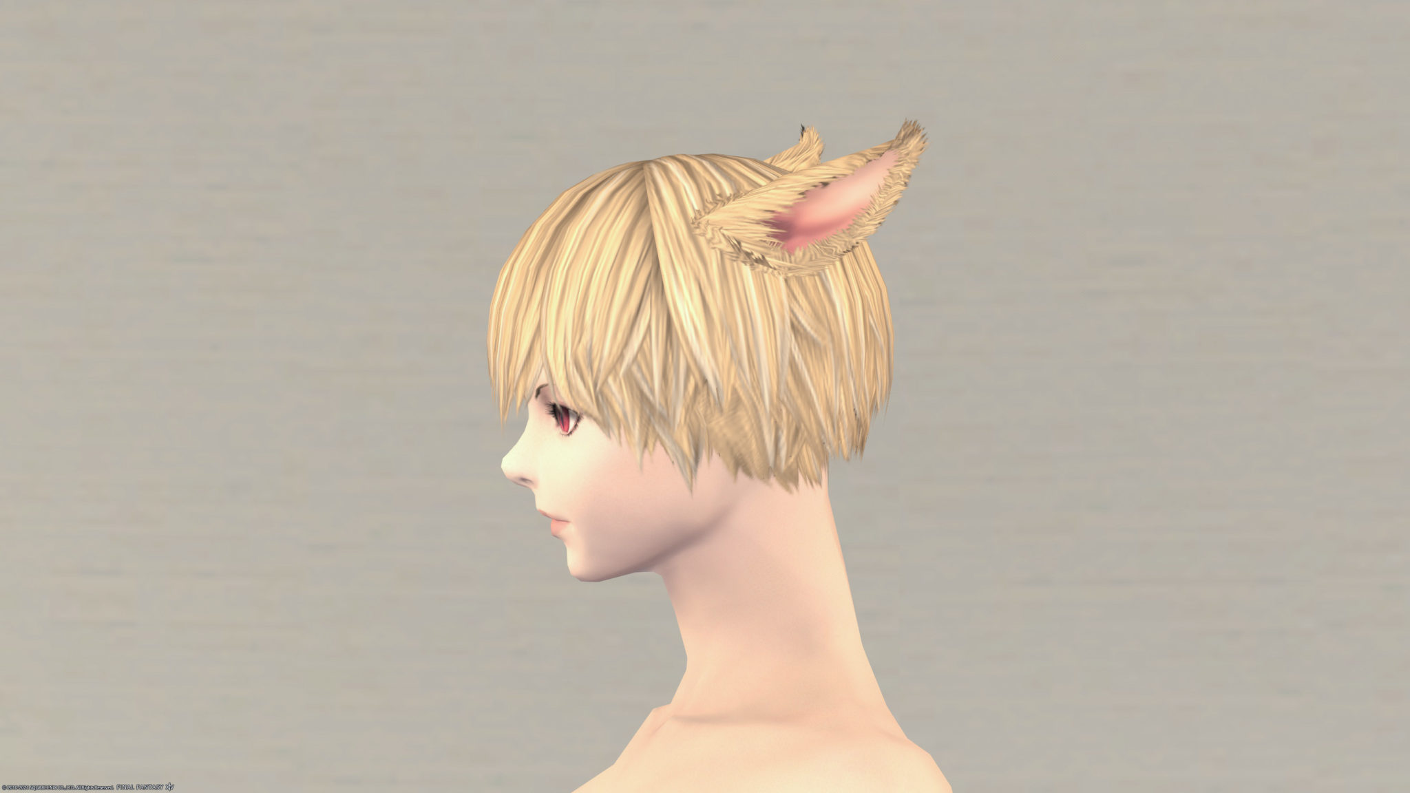 【FF14】ニーアコラボ！髪型「9S」の見た目と入手方法 | コニーのタルト-おしゃれテクニック